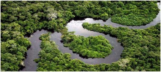 Top 10 de datos curiosos del Amazonas