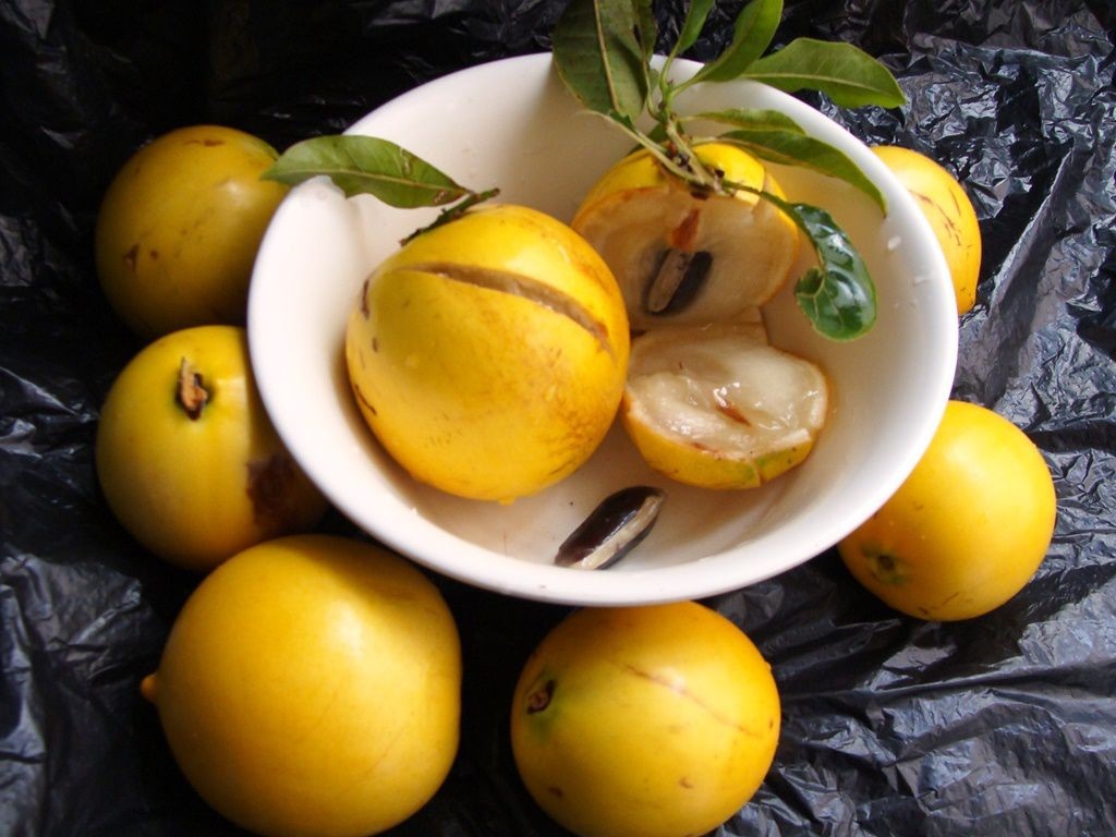 Top 10 de frutas amazonicas