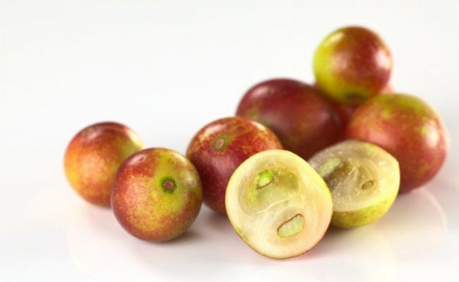 Top 10 de frutas amazonicas