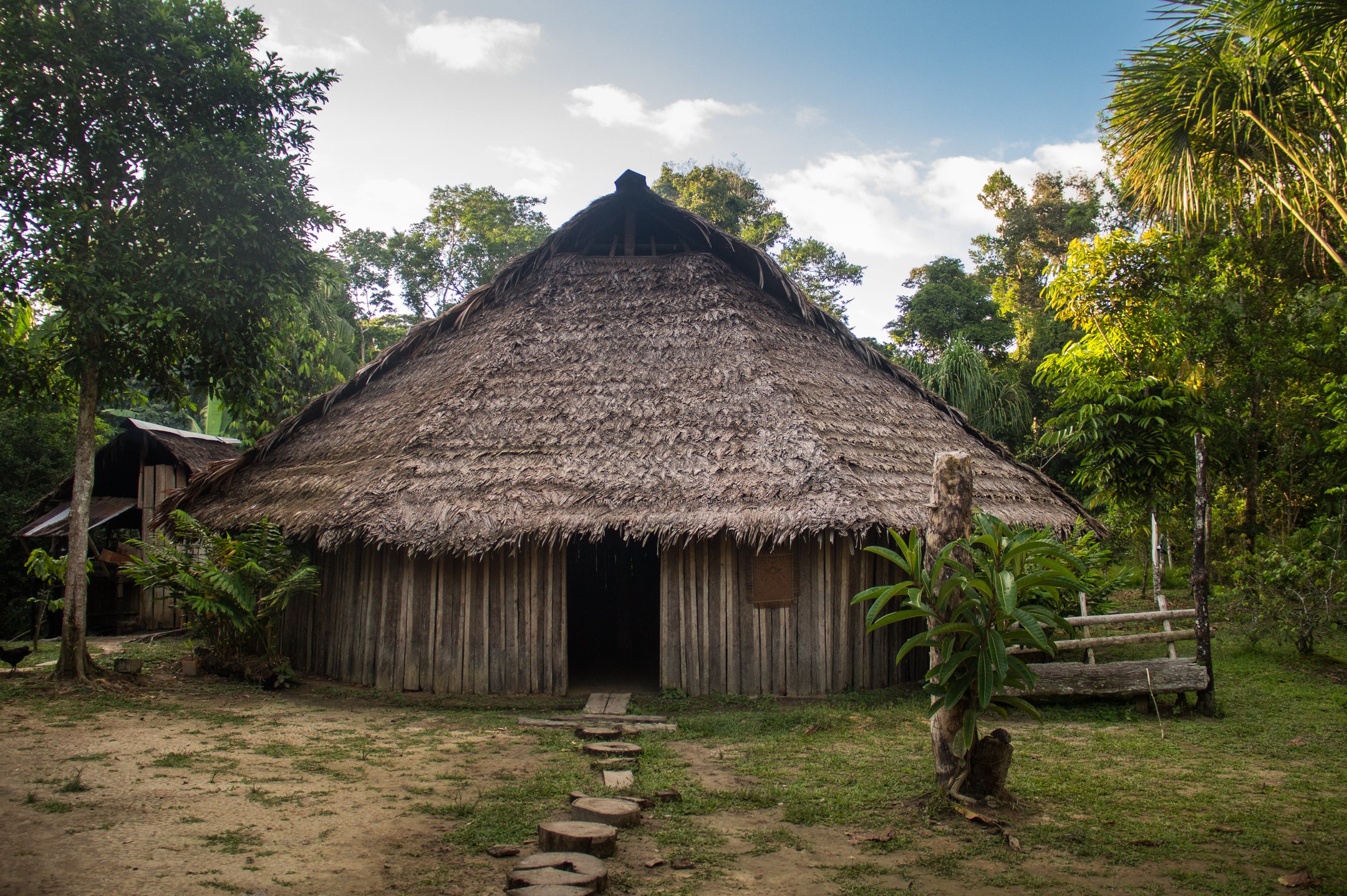 Cultura Indígena del Amazonas