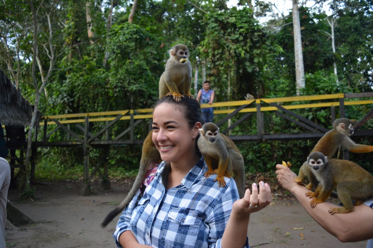 Guía completa para viajar al Amazonas